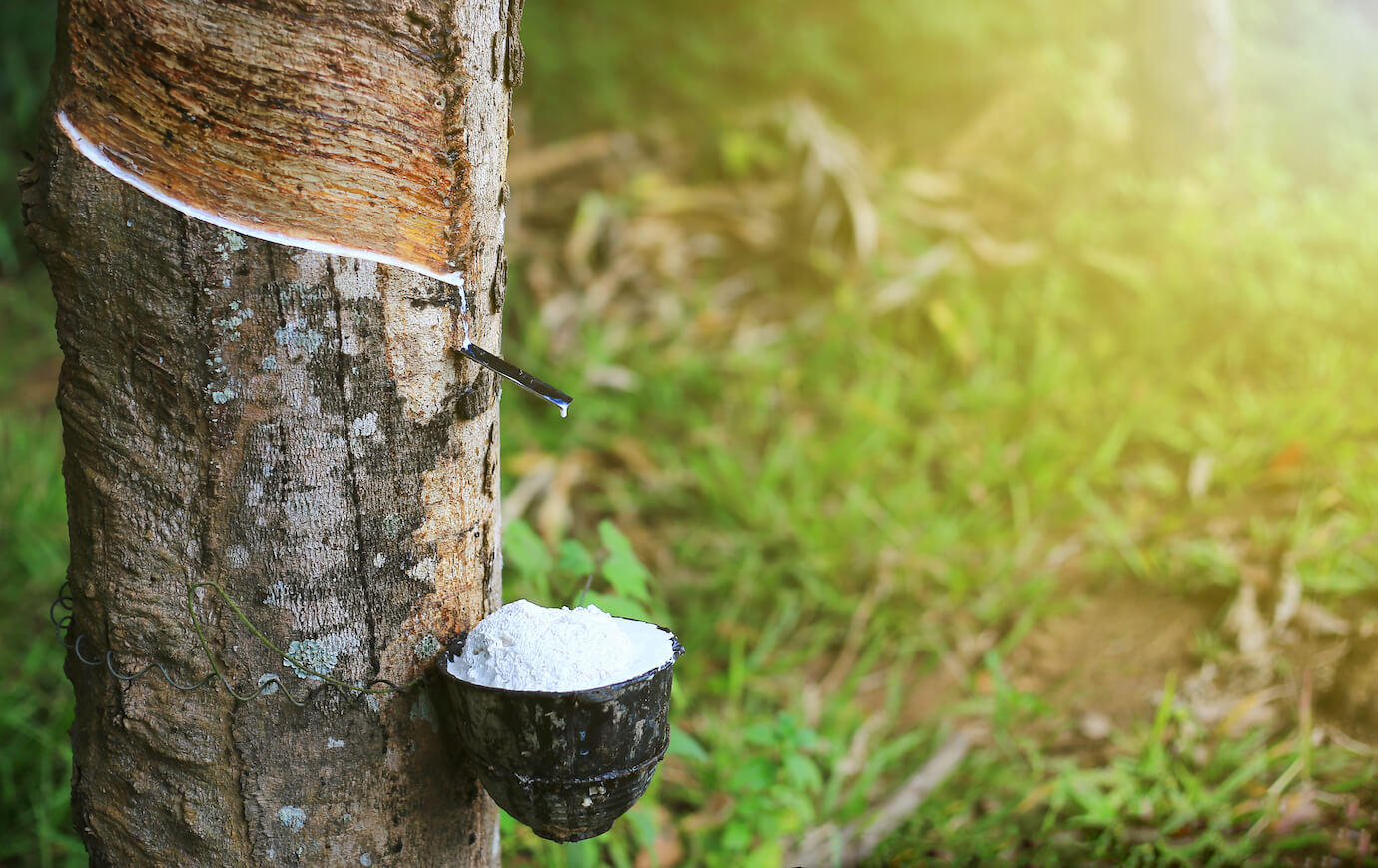 TB 192, Produk Petrokimia Pertamina Mengobati Luka Tanaman - Pertamina ...