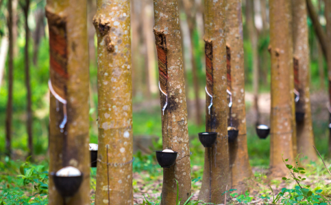 Home - Pertamina One Solution