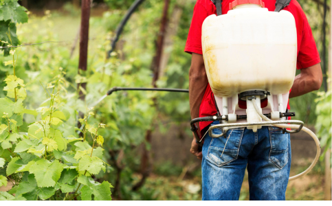 Home - Pertamina One Solution